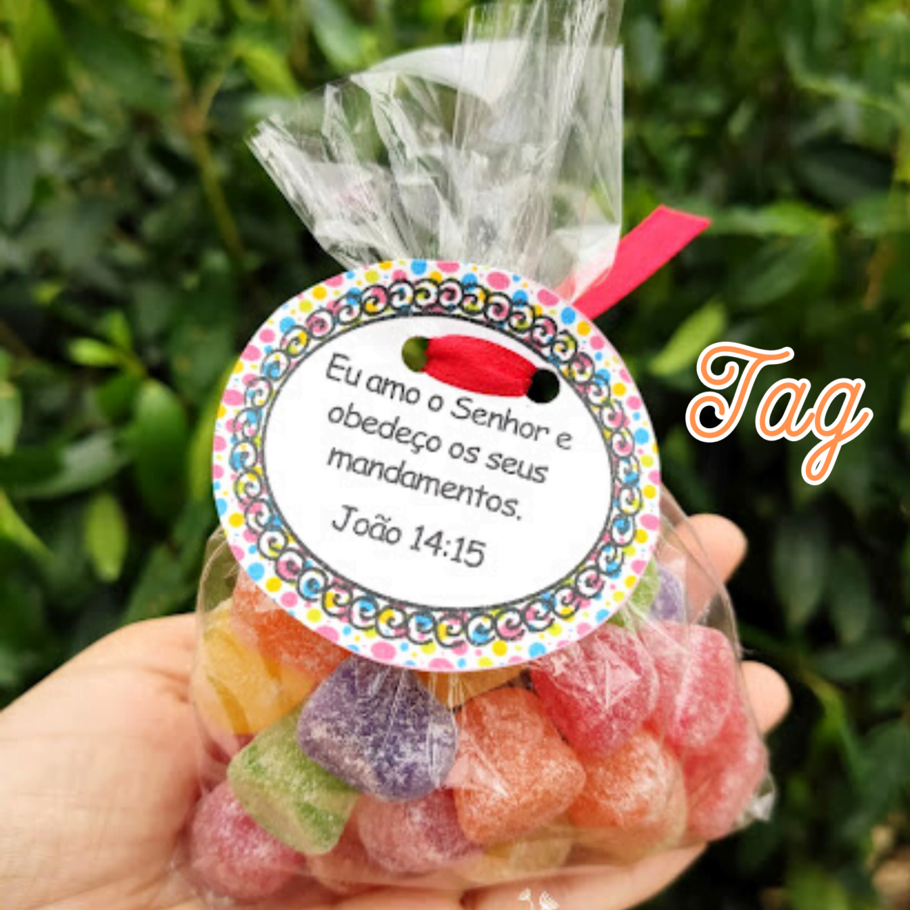 TAG – Jesus é a fonte que me dá vida e alegria – Evangelizando uma Criança